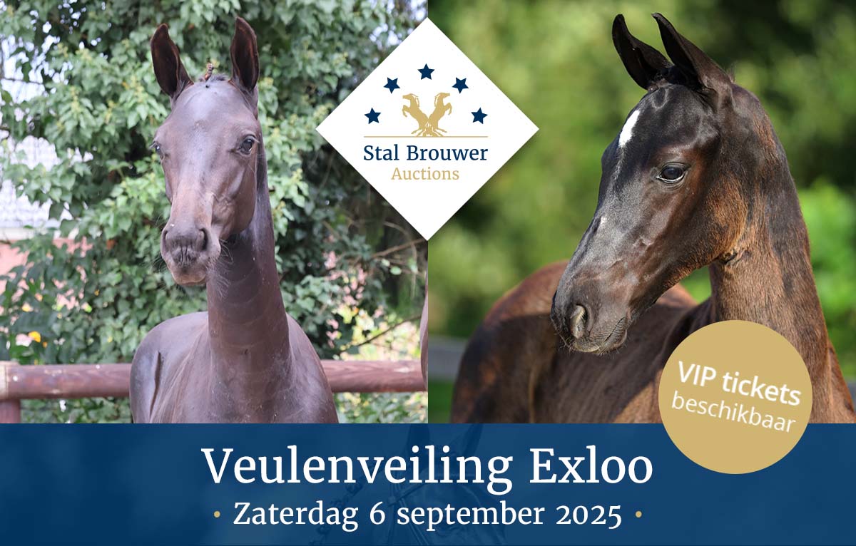 𝑺𝒕𝒂𝒍 𝑩𝒓𝒐𝒖𝒘𝒆𝒓 𝑨𝒖𝒄𝒕𝒊𝒐𝒏𝒔 𝒑𝒓𝒆𝒔𝒆𝒏𝒕𝒆𝒆𝒓𝒕 𝒕𝒐𝒐𝒏𝒂𝒂𝒏𝒈𝒆𝒗𝒆𝒏𝒅𝒆 𝒗𝒆𝒖𝒍𝒆𝒏𝒄𝒐𝒍𝒍𝒆𝒄𝒕𝒊𝒆 𝒊𝒏 ...